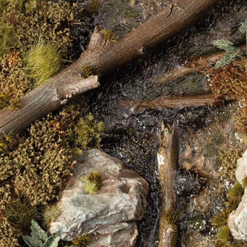 Swamp Shrubs – La Escotilla